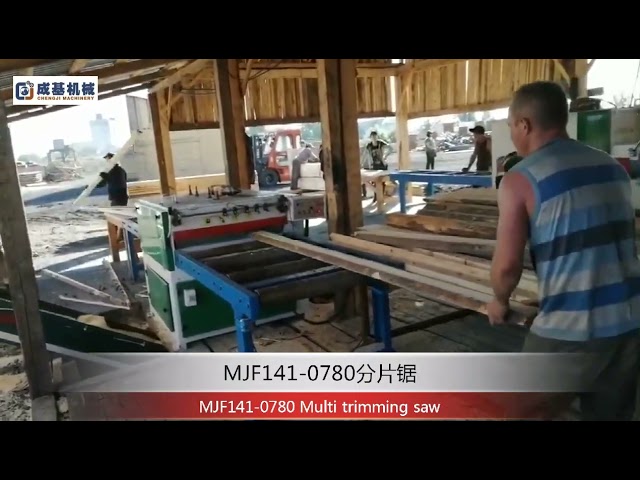 Board Edge Cutting Machine Manufacturer from Ahmedabad