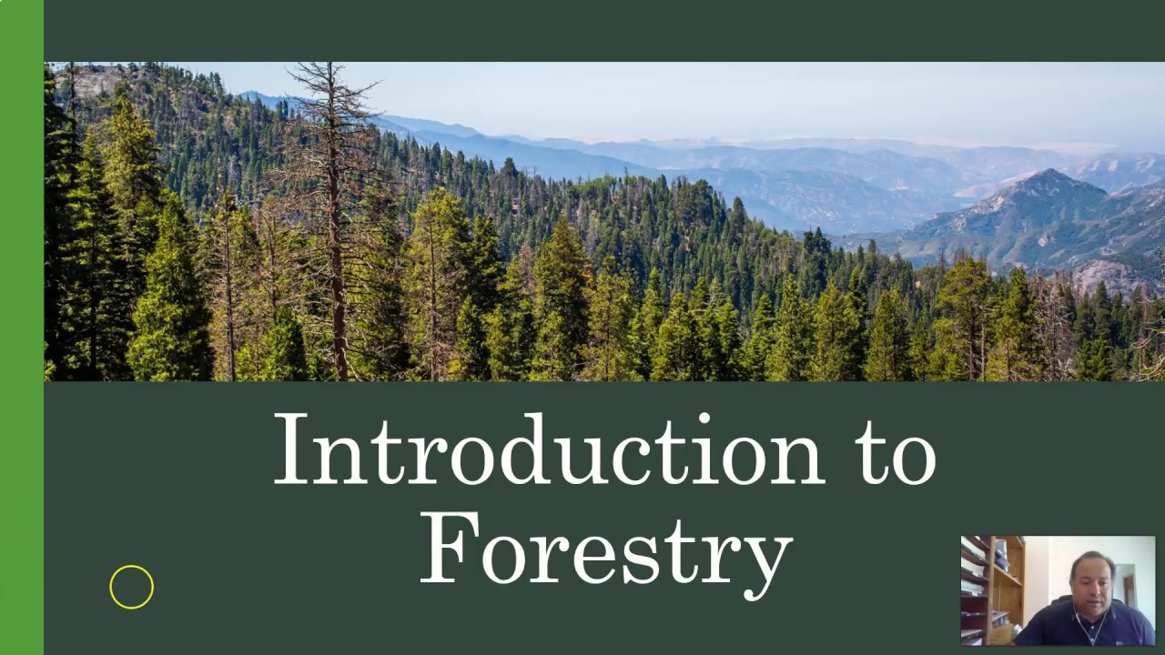 Introduction to Forestry- Part 1