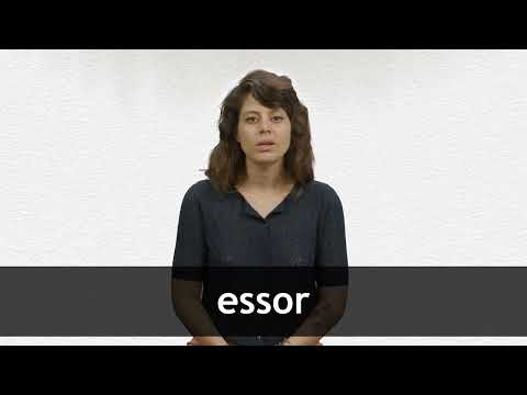 English Translation of “ESSOR” | Collins French-English Dictionary