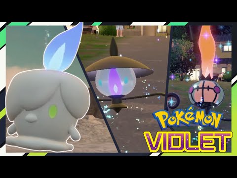 Live Shiny Litwick in Teal Mask DLC | Pokemon Violet