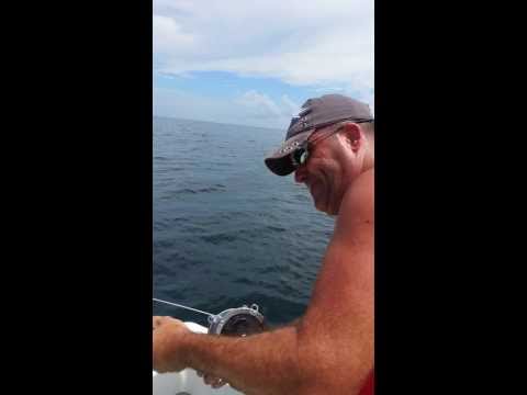 this is one large GROUPER SANDWICH!!!