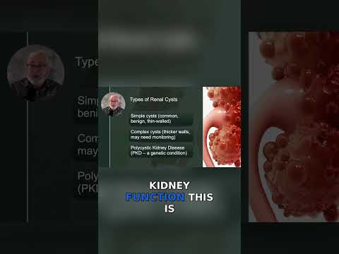 The Seriousness of Polycystic Kidney Disease Explained