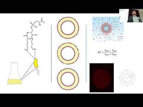 New Tools, New Lipids: Joshua Chamberlain Explores Bacterial Sphingolipids for Smarter Drug Delivery
