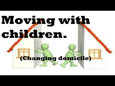 Changing domicile - Moving with Children in Michigan