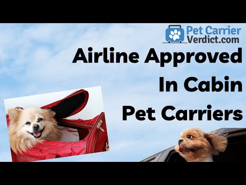 Airline Approved Pet Carriers for In Cabin Carry On