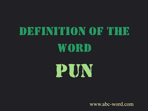 Definition of the word "Pun"