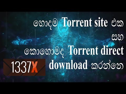 Best Torrent website & How to Download torrent directly (English subtitles)