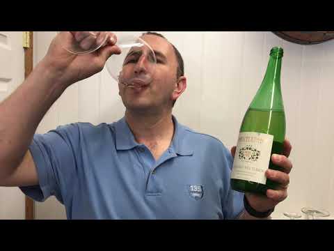 Mantlerhof Gruner Veltliner | One Minute of Wine Episode #540