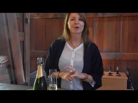 Hermann J. Wiemer - Blanc de Blanc 2009 Tasting Experience
