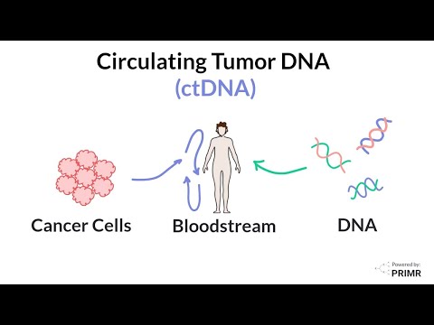 What is Circulating Tumor DNA (ctDNA)?