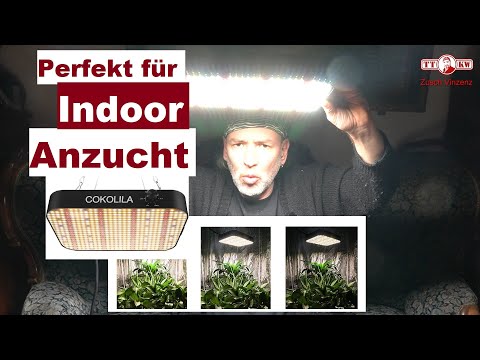 Die Beste LED Grow Lamp 2024? Dimmbare Vollspektrum Pflanzenlampe Cokolila in 3 Größen UV + IR
