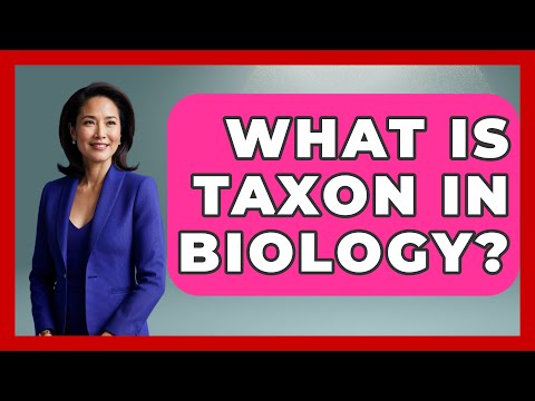 What Is Taxon In Biology? - Biology For Everyone