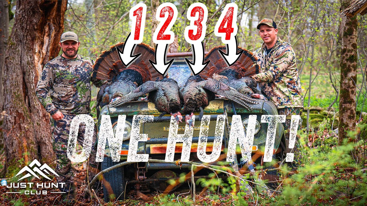 4 Gobblers in ONE Hunt (Crazy Turkey Hunt)
