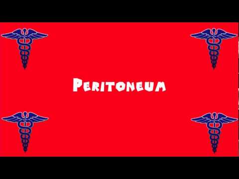 Pronounce Medical Words ― Peritoneum