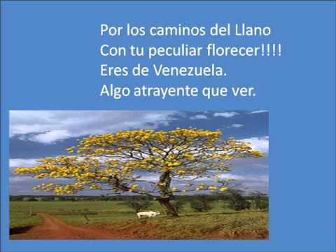 Pel铆cula 0001 Poema ARAGUANEY