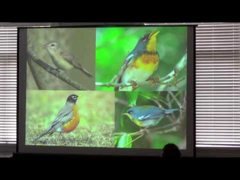 The Birds of Carillon Historical Park