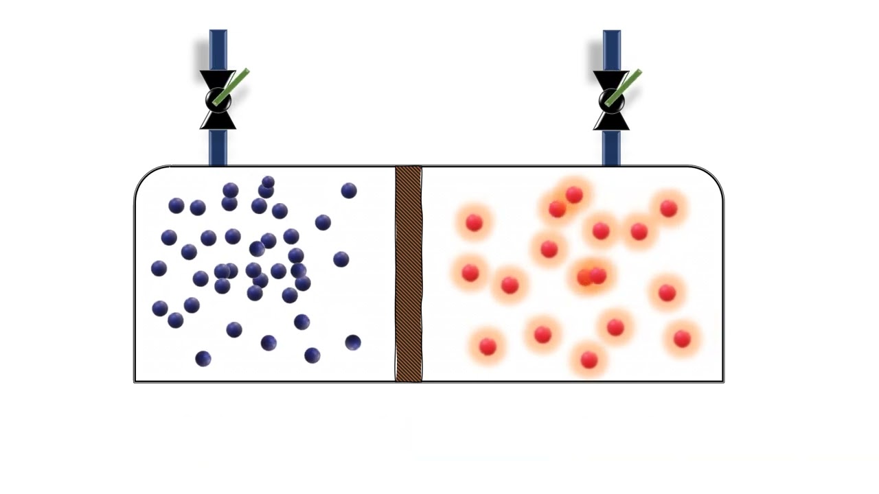 Mass transfer by diffusion in a binary gas mixture animation