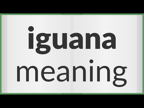 Iguana | meaning of Iguana