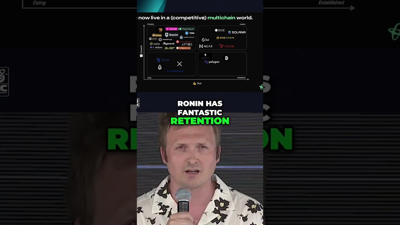 Ronin Chain: Explosive Growth & Gaming Niche Power!