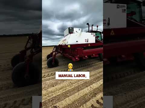 LaserWeeder π₯π±π€ #agriculture #ai #shorts