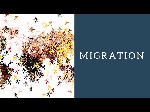 What is MIGRATION?