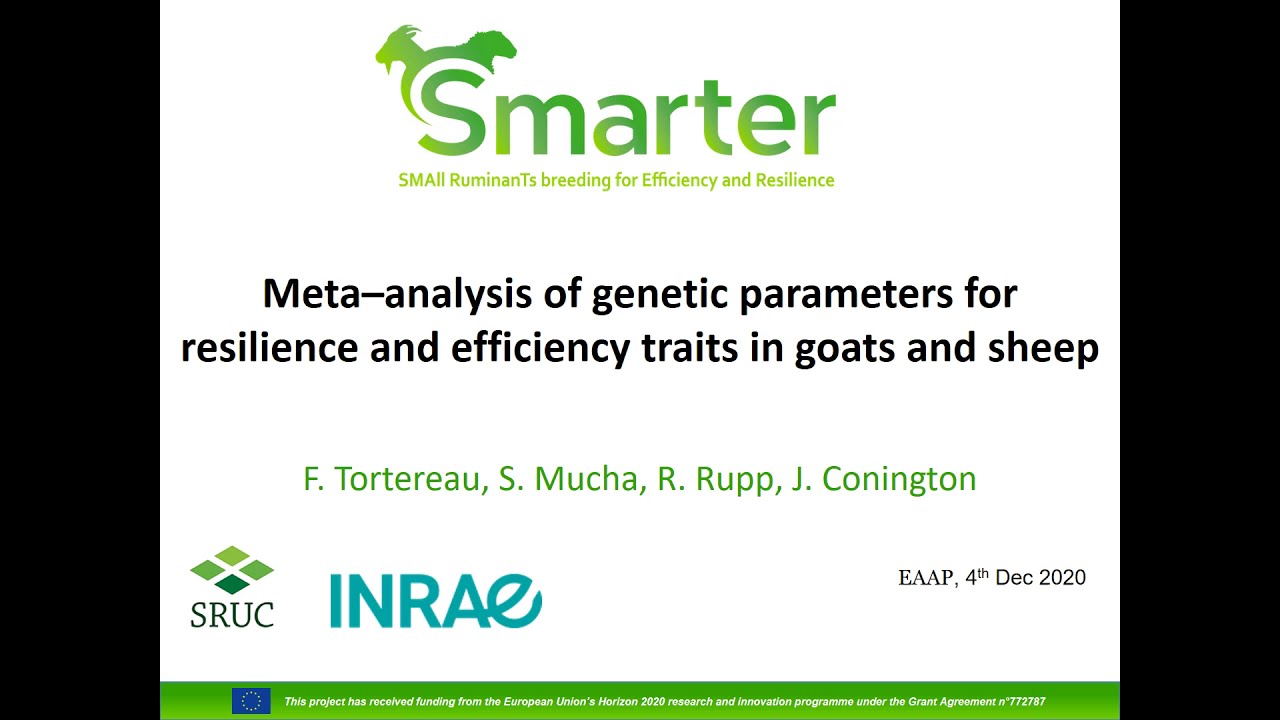 Meta-analysis of genetic parameters for resilience and efficiency traits in goats and sheep