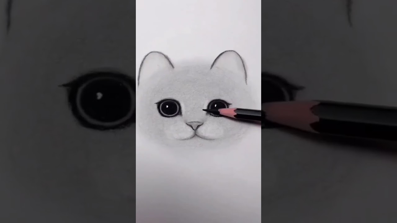 how to draw a cute kitten #howtodraw #kitten #cat #cute #catlovers #sketch #drawing #pencildrawing