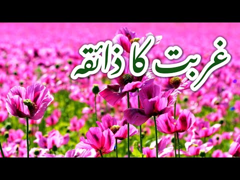 Ghurbat ka Zaiqa | Poverty line | Aqwal e Zareen | Urdu Quotes
