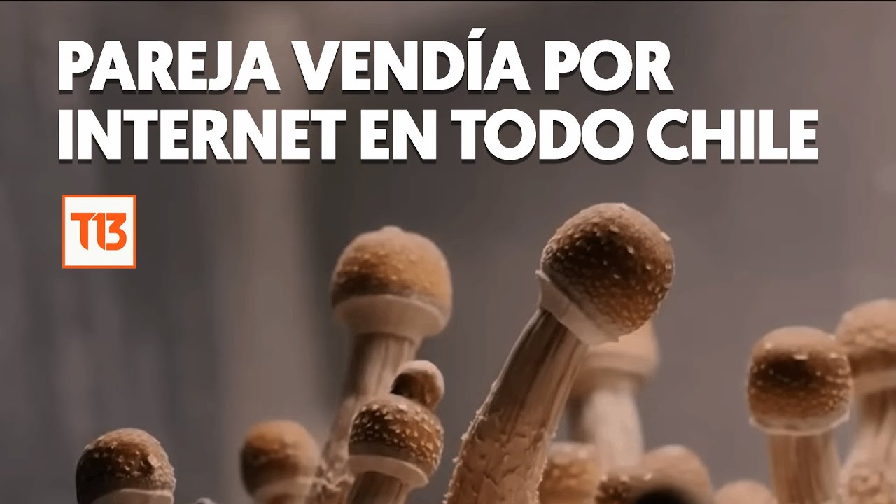 Así fue la histórica incautación de hongos alucinógenos