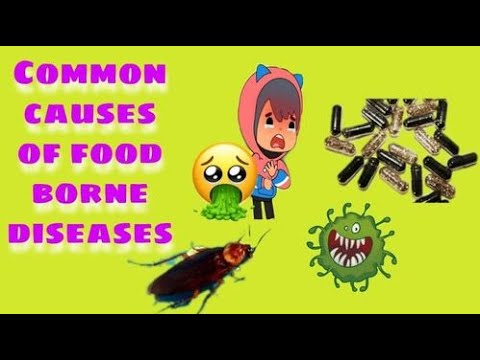 Common causes of foodborne diseases
