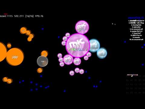 Agario Real Time Splitrunning