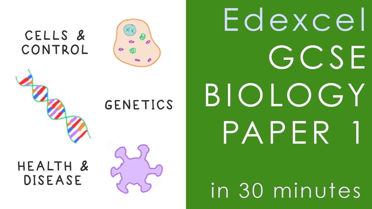 All of Edexcel BIOLOGY Paper 1 in 30 minutes - GCSE Science Revision