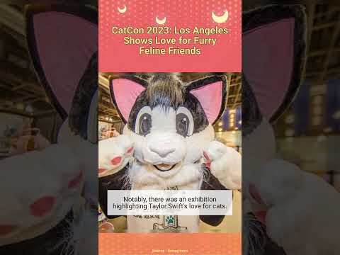 CatCon 2023: Los Angeles Shows Love for Furry Feline Friends #Shorts #lifestylebuzz #lifestyle