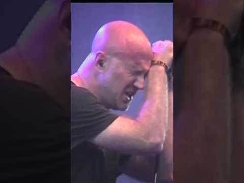Have a Nice Live VS Hellfest