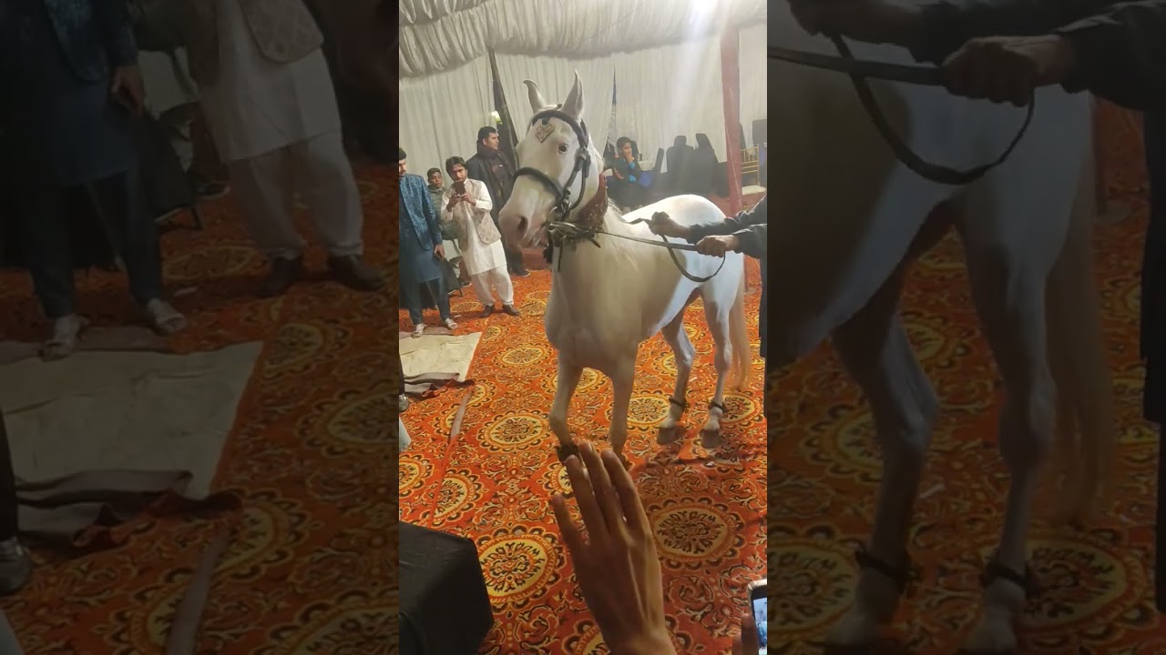 Wedding#youtubeshorts #comedyfilms #viralshort #vtshorts