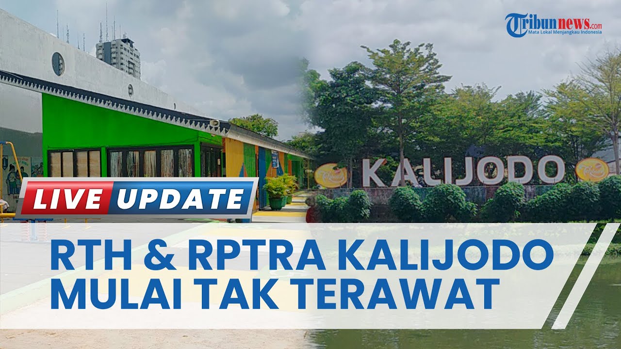 Ramai Disebut-sebut Tak Terawat, Berikut Penjelasan dari Pengelola RTH dan RPTRA Kalijodo ...
