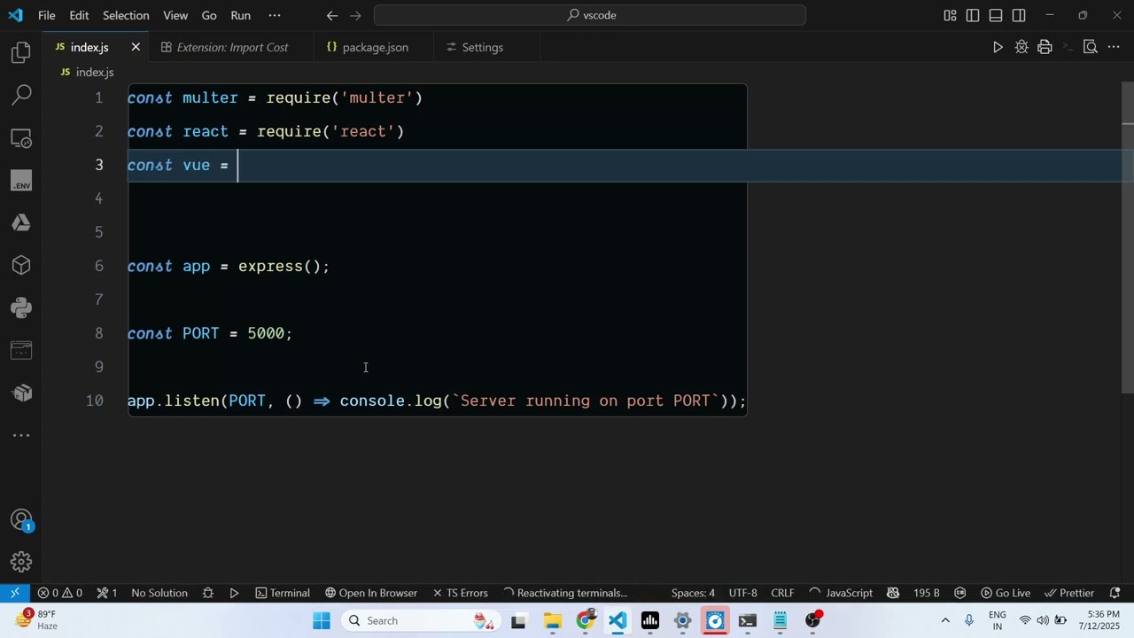 How to See Size of Imported Node js npm Packages in VSCode IDE
