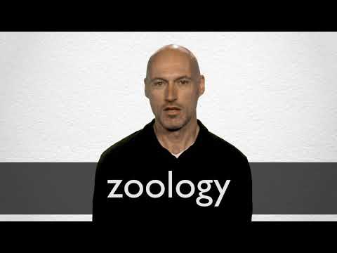 How to pronounce ZOOLOGY in British English