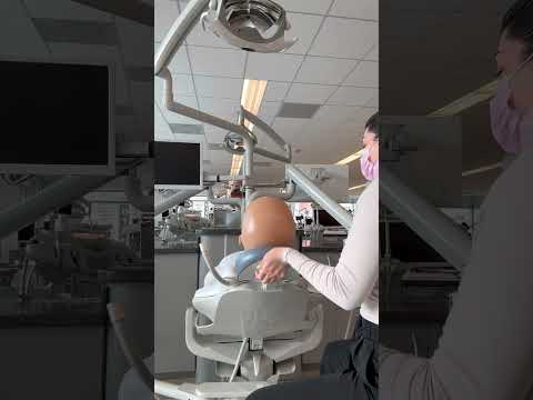 #dentalstudent #dentist #asmr