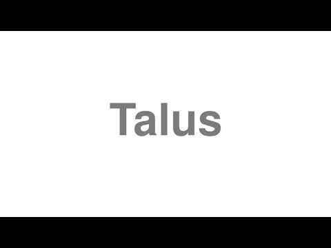 How to Pronounce "Talus"