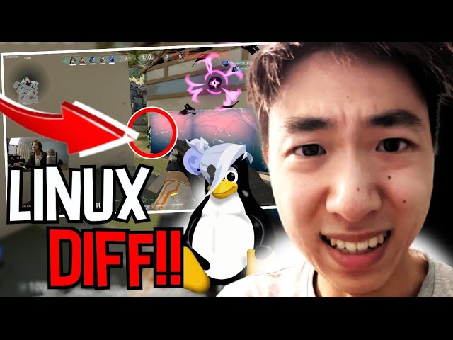 Fact Check: Can you play Valorant on Linux machines?