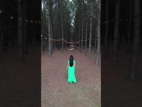 Figmint Farms in Apex NC offers dinner in the woods. Amazing food and drinks and ambiance