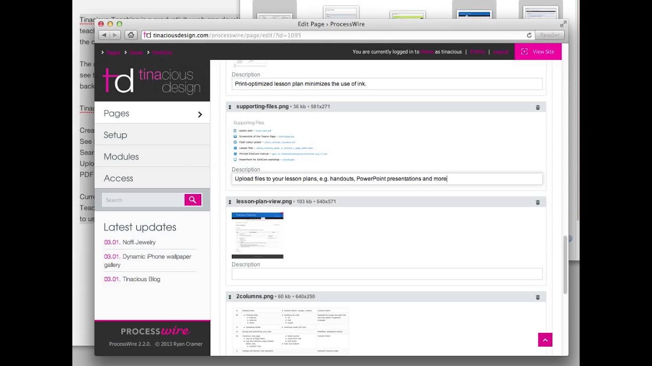 Fully custom Content Management System (CMS) Portfolio Website using ProcessWire