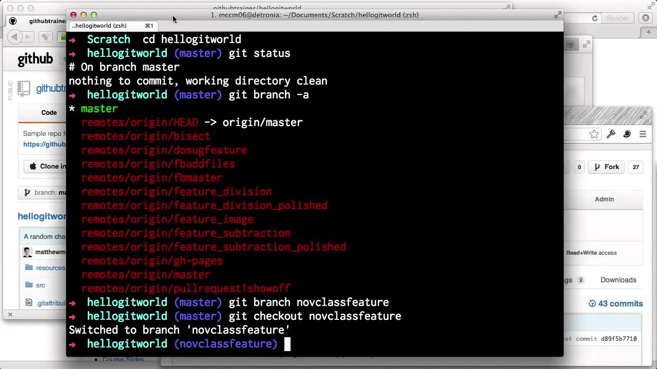 The basics of Git and Github