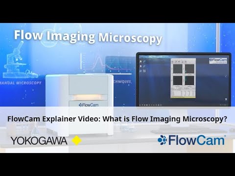 Particle Size Analyzer - Particle Shape Analyzer Latest Price ...