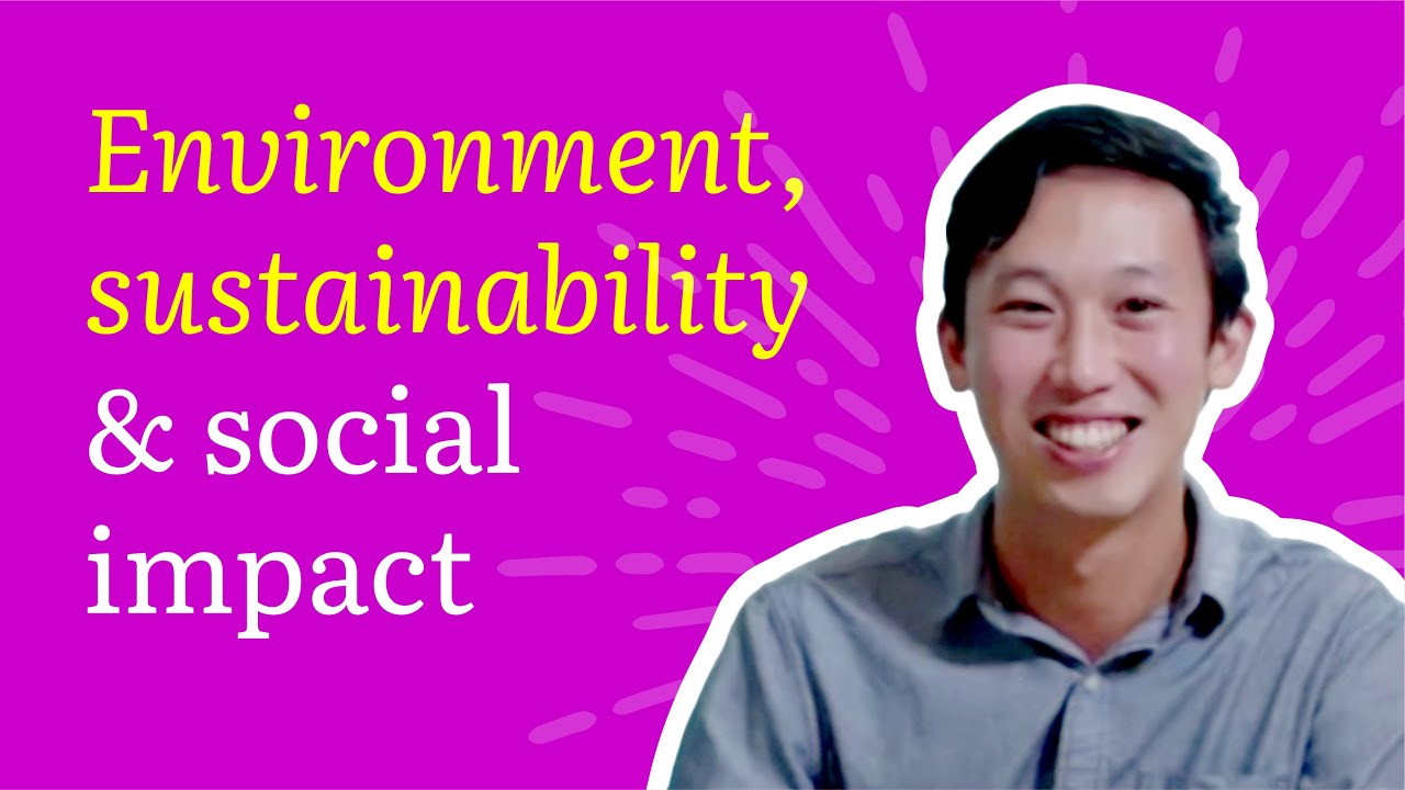 How to start and scale an environmental and sustainability program