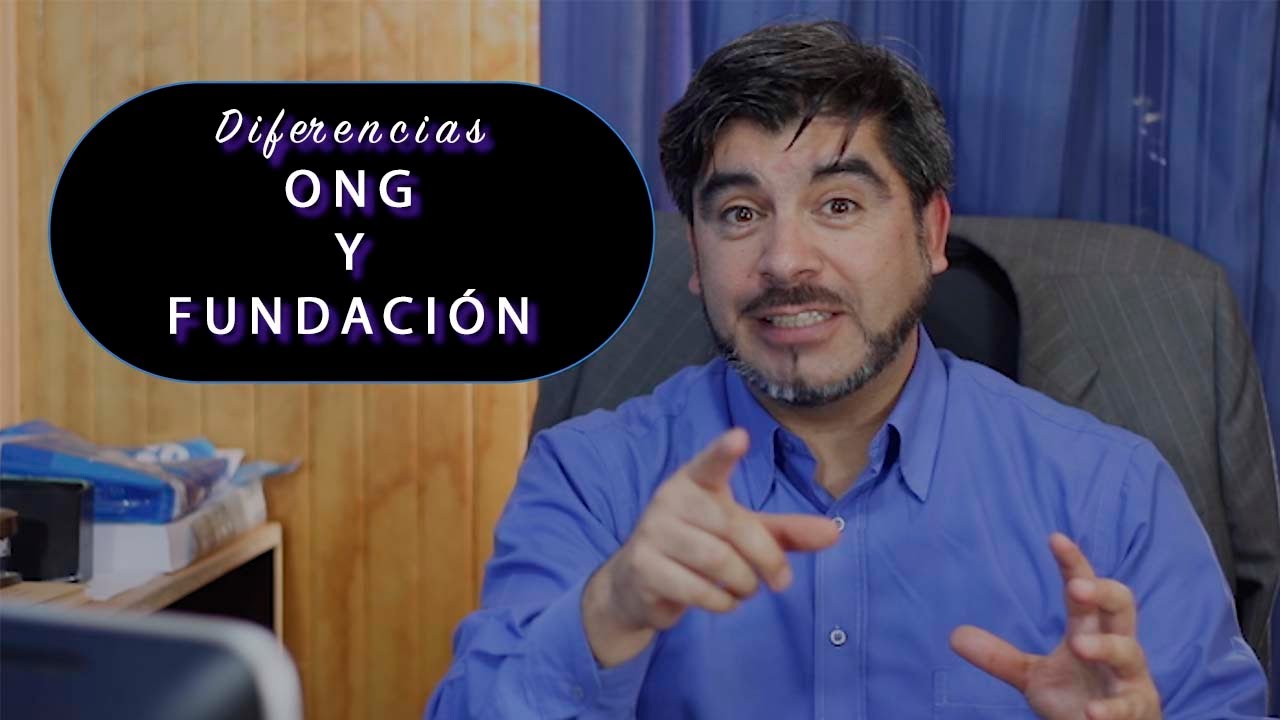 FUNDACIÓN VS ONG