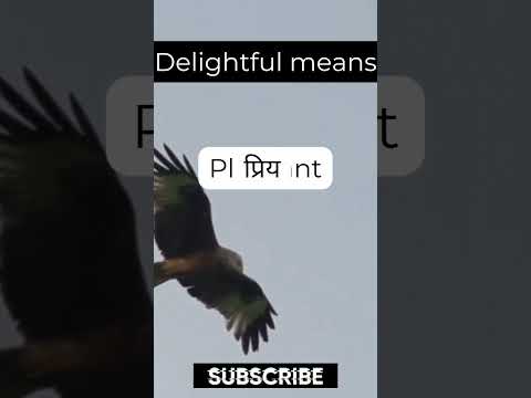 Delightful Meaning Explained #shorts #viral #ytshorts #learning #learn #learnenglish #english #short