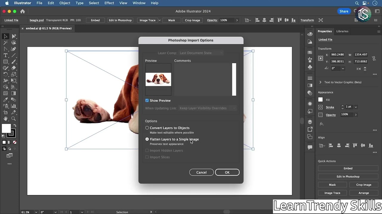 How to Embed Images in Adobe Illustrator | Step-by-Step Guide