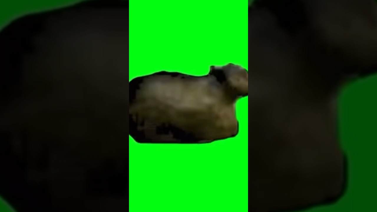 Brainrot Cat Meme
